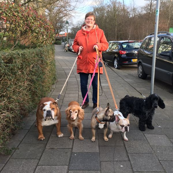 Hondenoppas gezocht Den Haag - hondenoppas Annette uit Den Haag (2561)